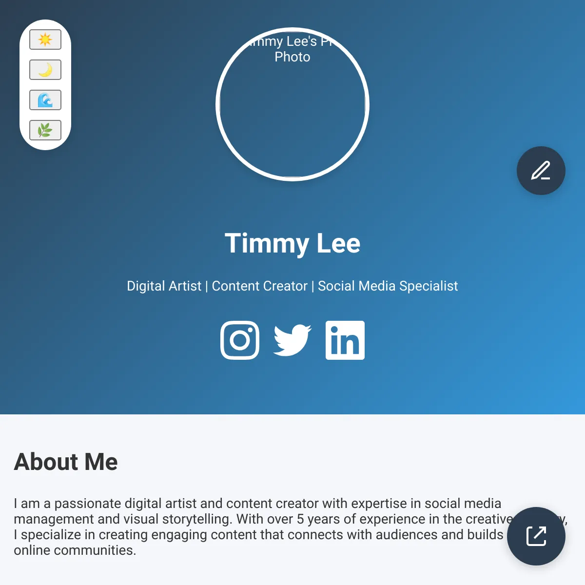 Timmy Lee's Artist Portfolio Merchandise and Music