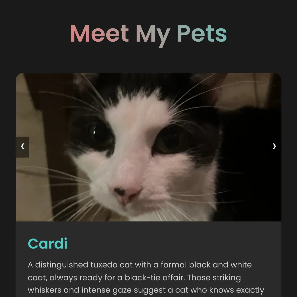 Meet My Pets
