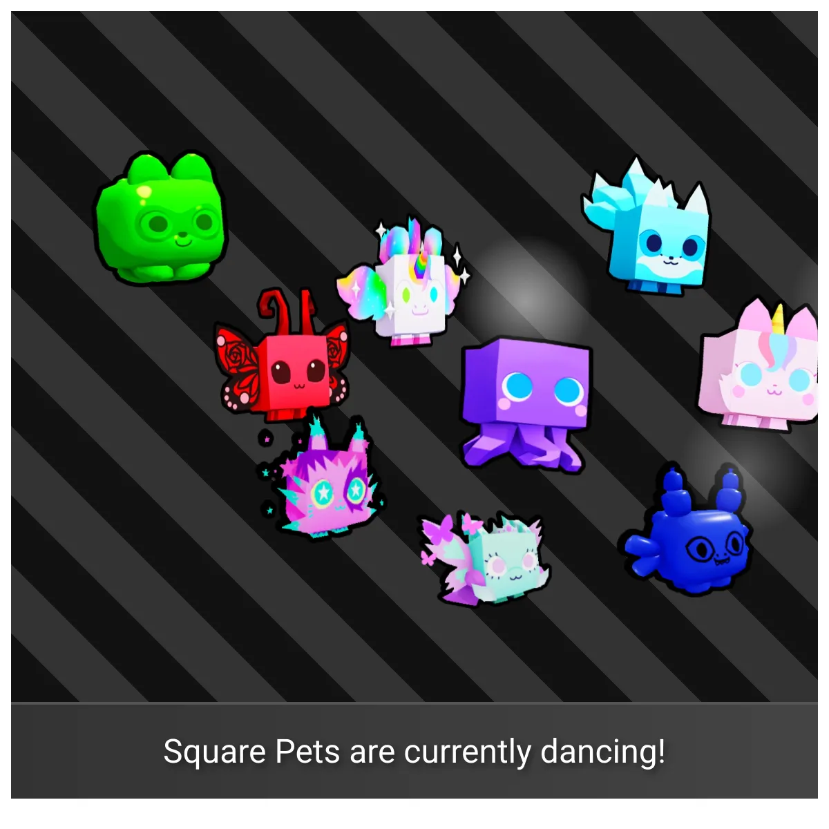 square pets dance!