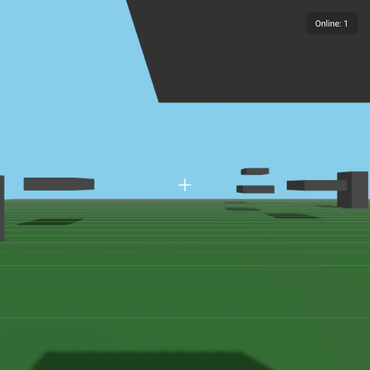 First-Person Multiplayer