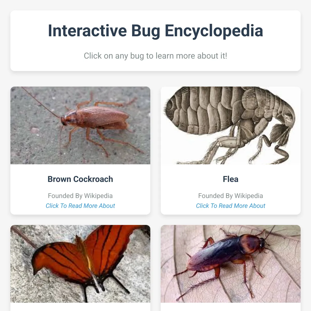 Interactive Bug Encyclopedia