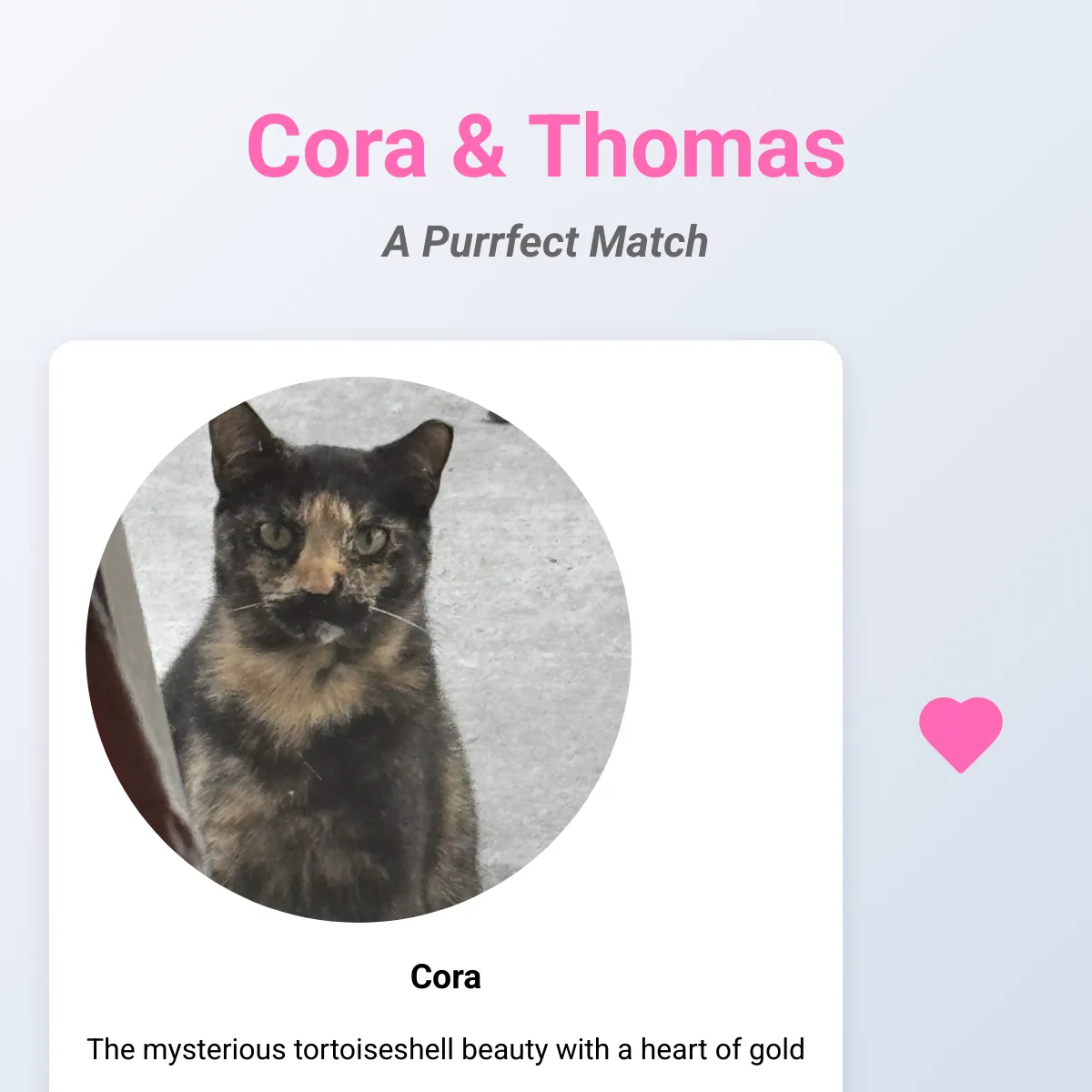 Cora & Thomas - A Cat Love Story