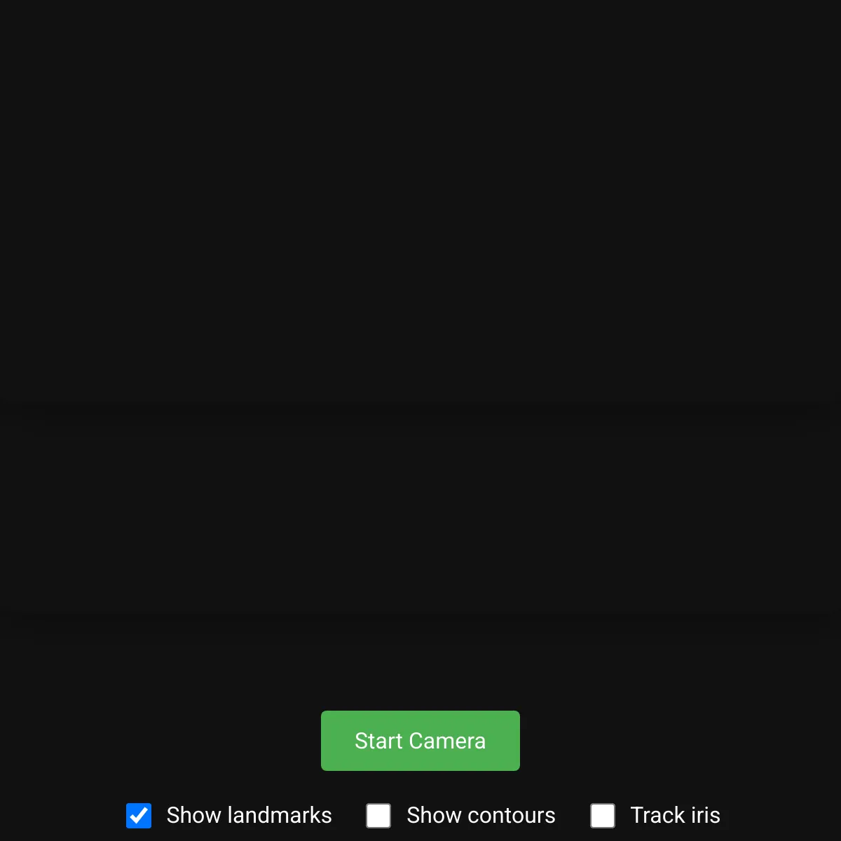 Webcam Face Tracking