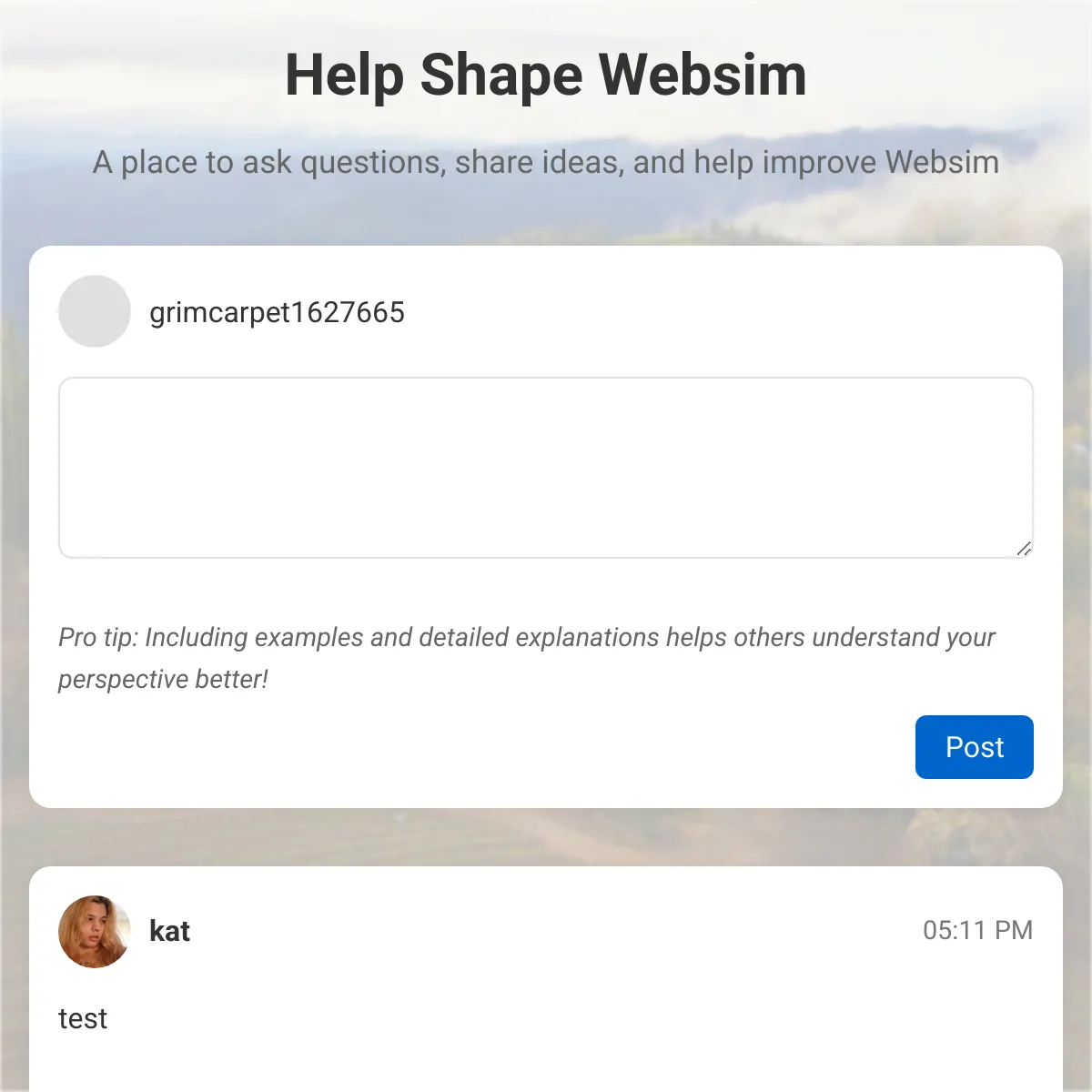 Help Shape Websim