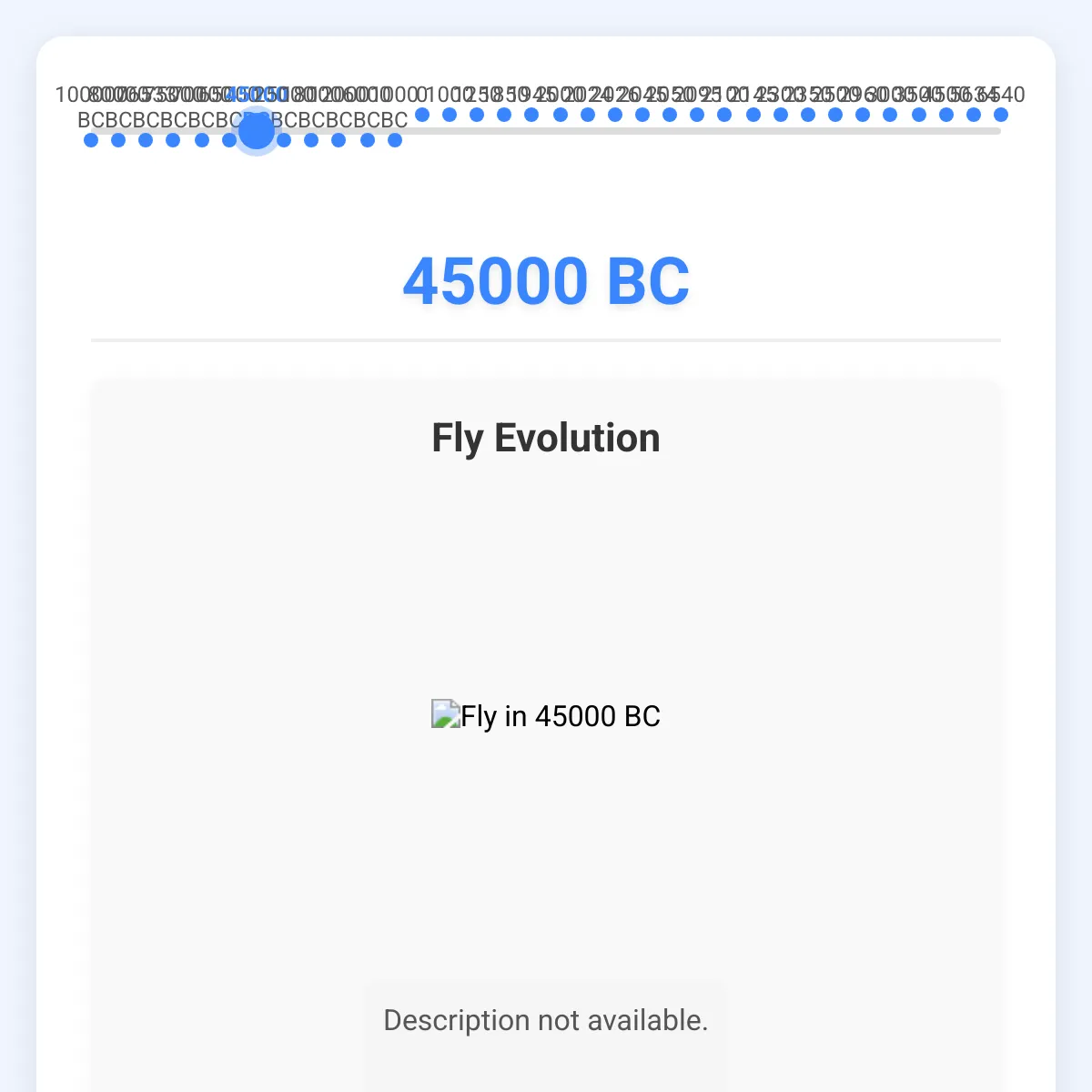 Insect Evolution Timeline