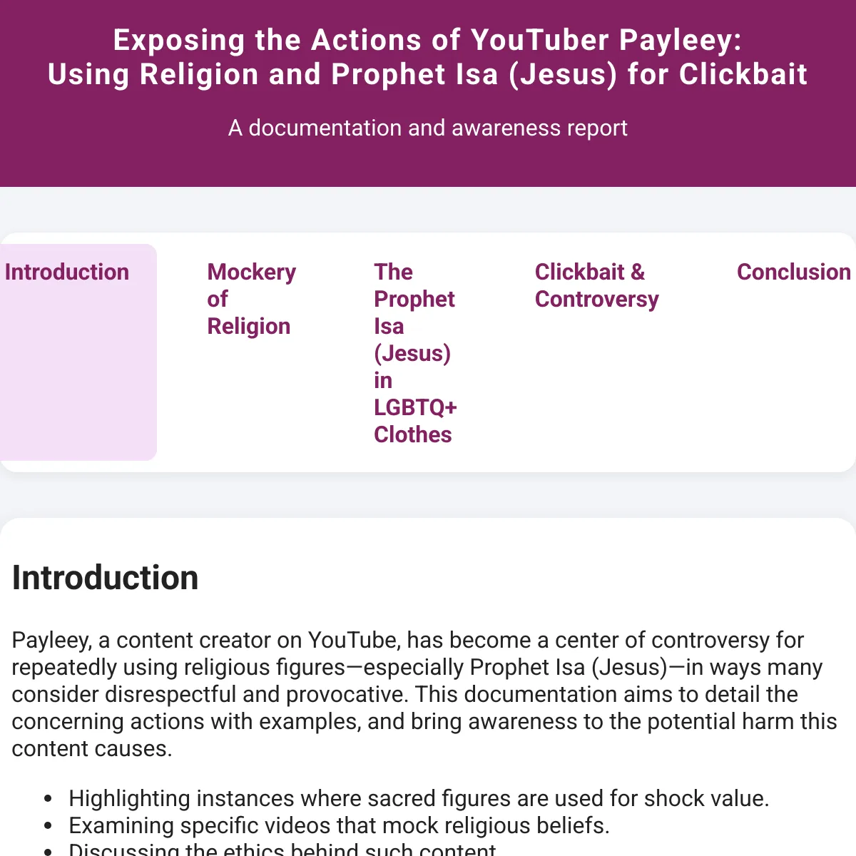 Exposing Payleey: A Documentation