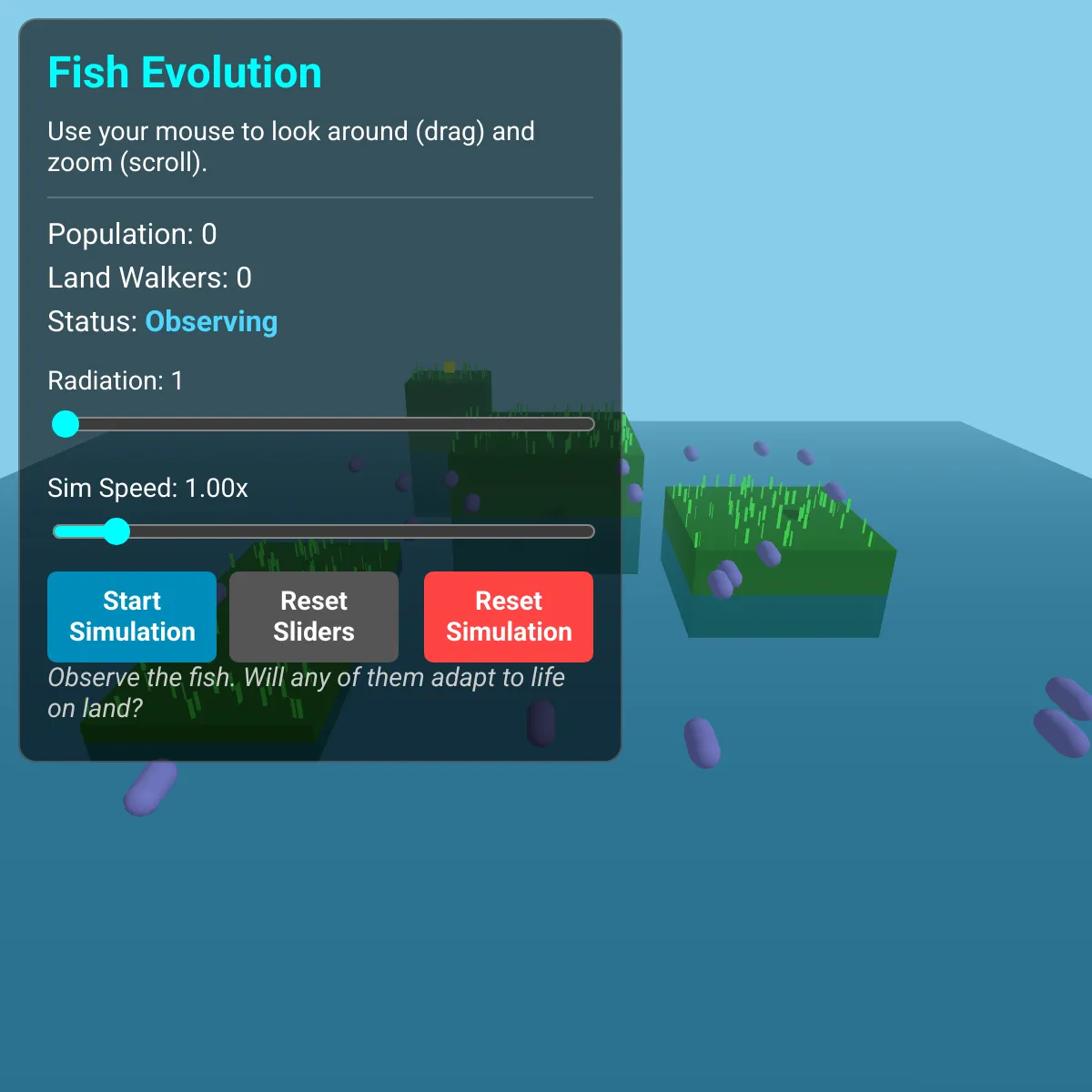 Fish Evolution Simulation