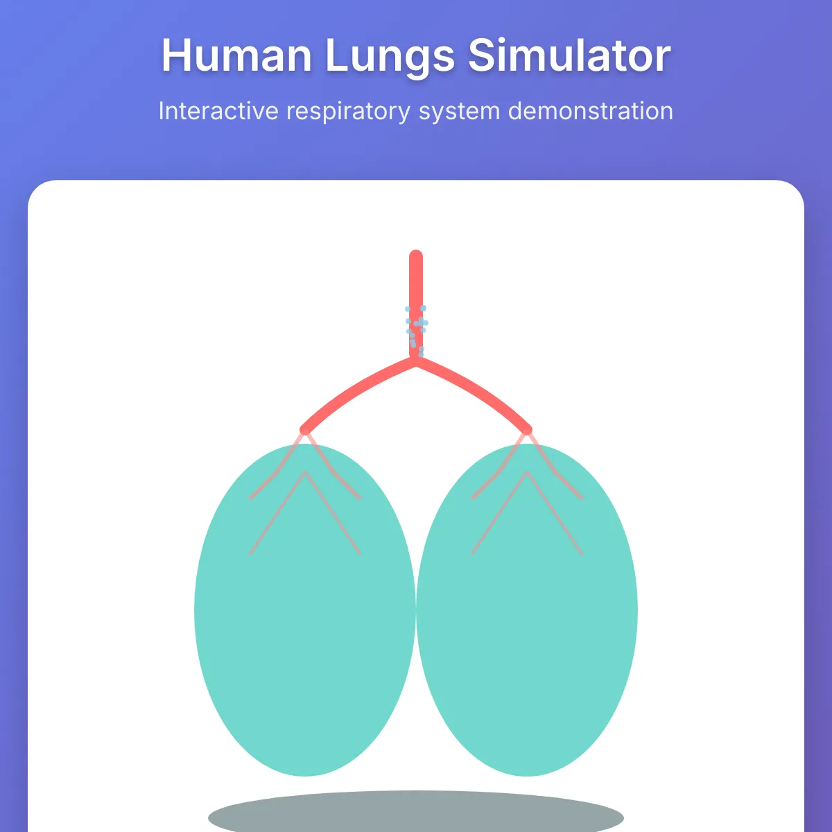 Human Lungs Simulator