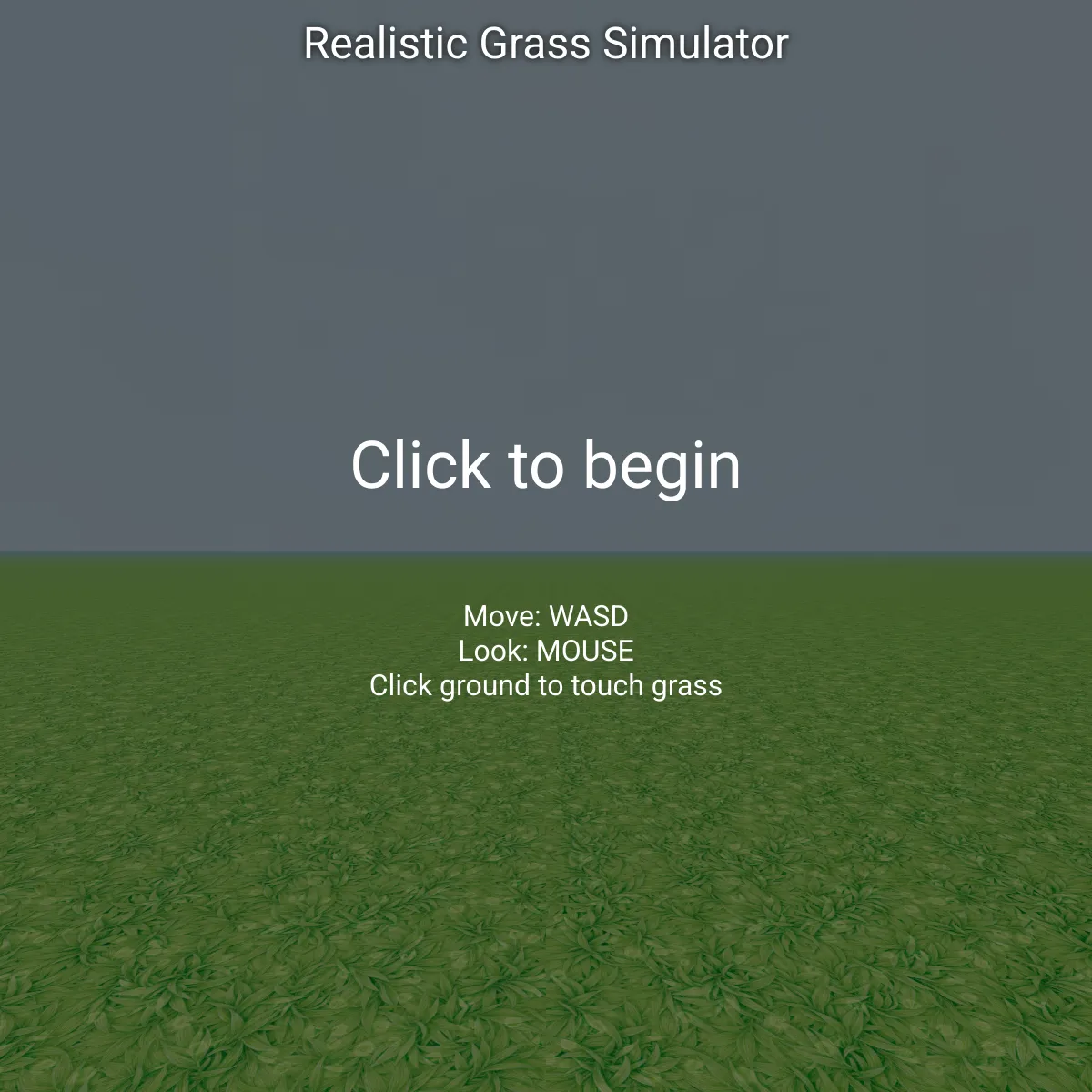 Touch Grass