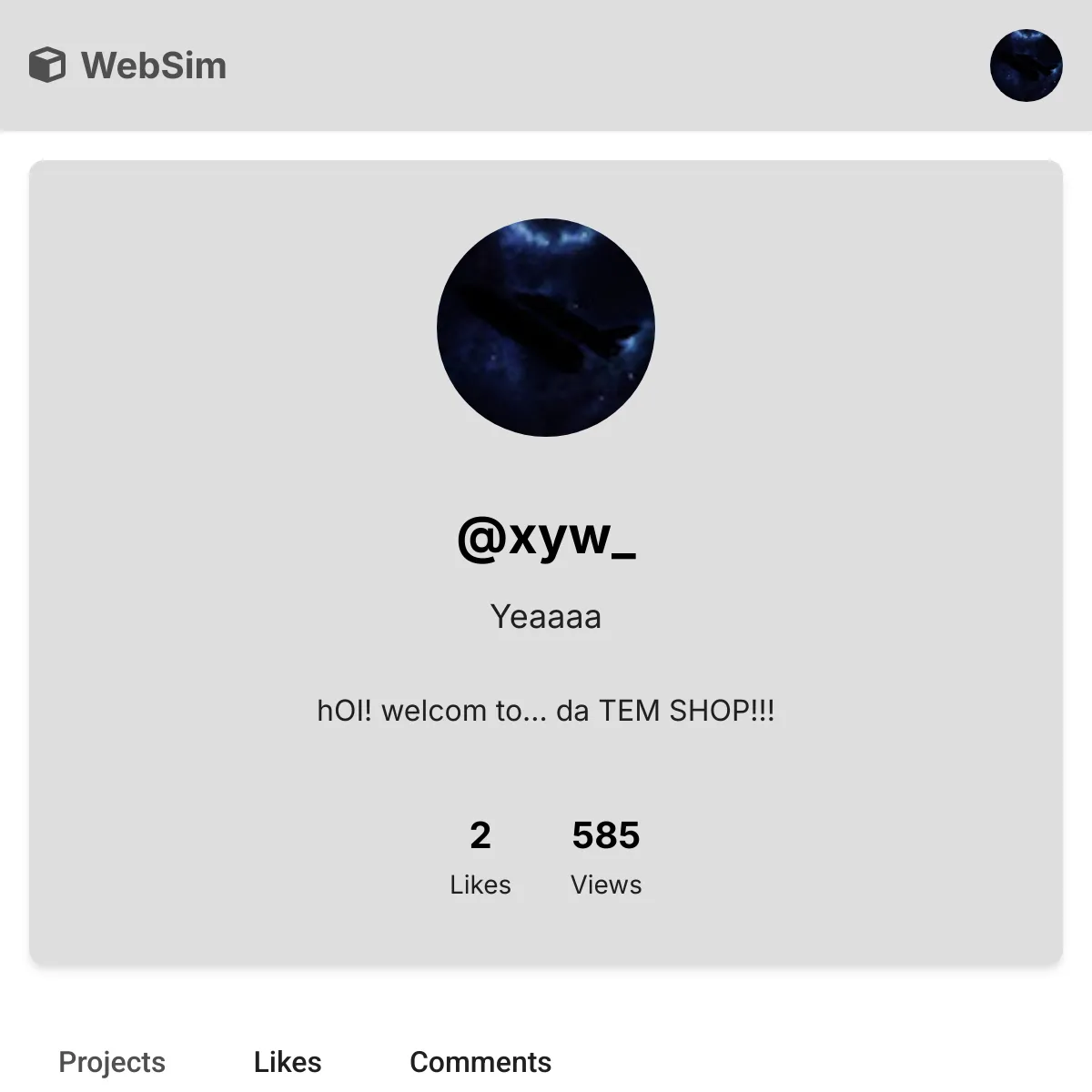 @xyw_'s Profile – websim.com