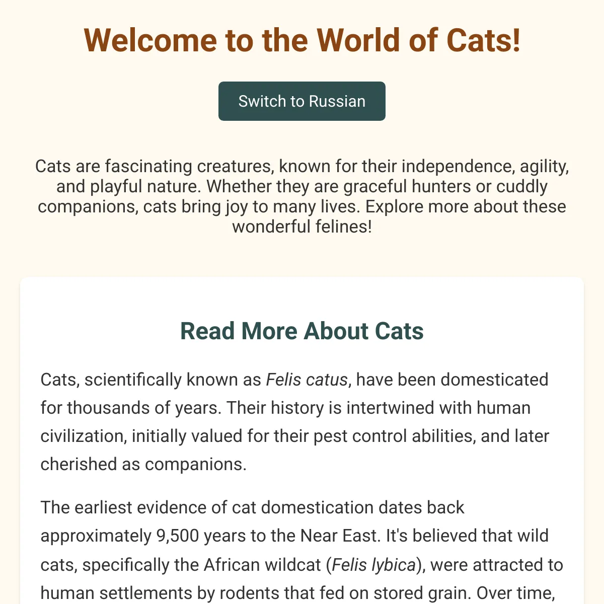All About Cats