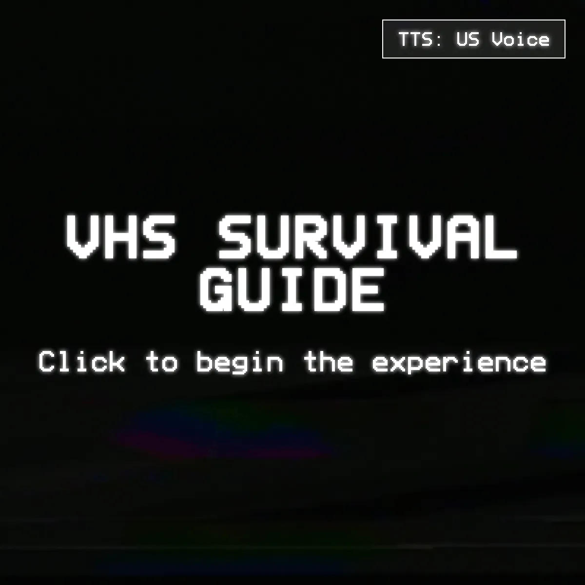 VHS Experience