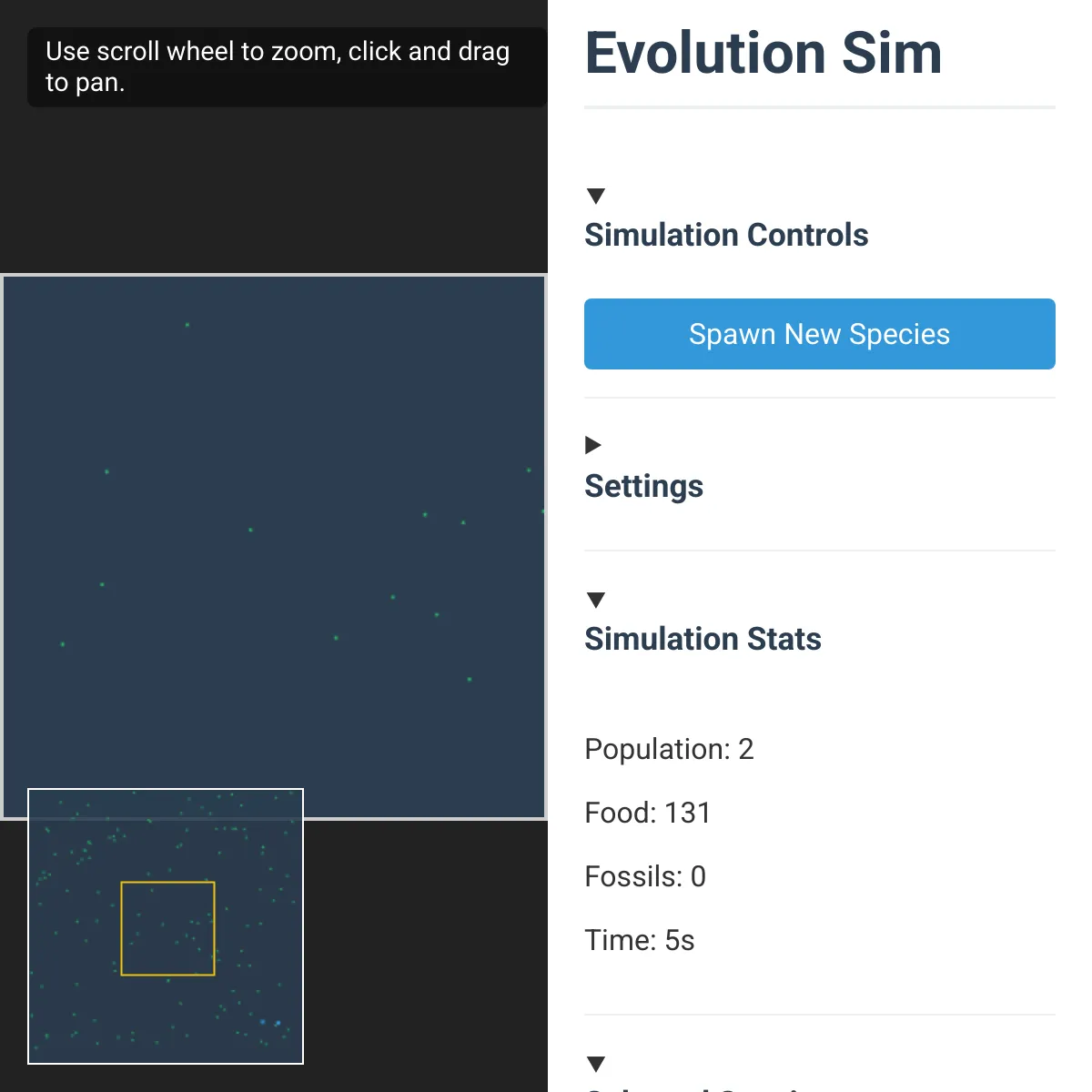 Procedural Evolution Simulation