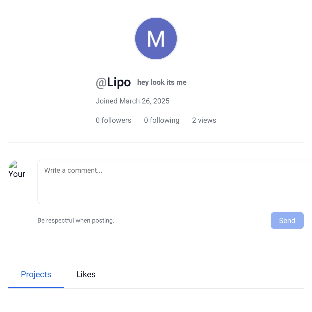 User Profile Page on WebSim