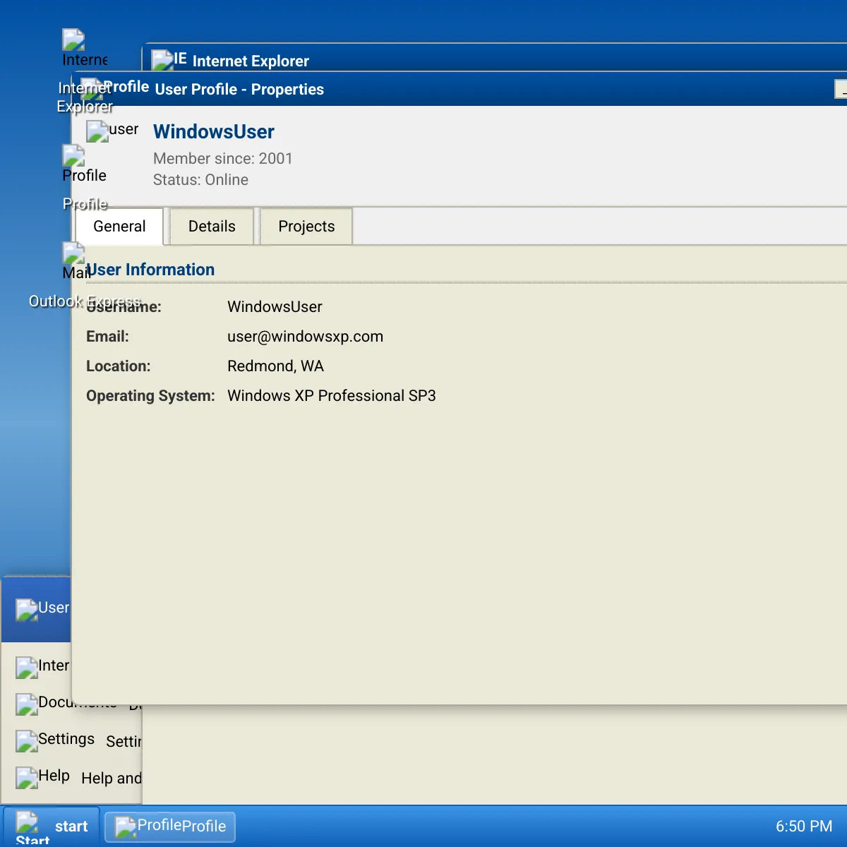 Windows XP Profile - My Computer