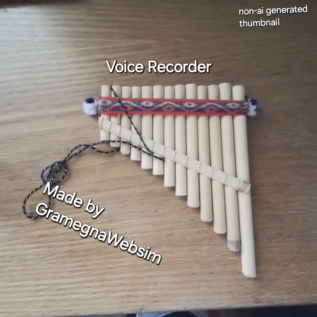 Voice Recorder