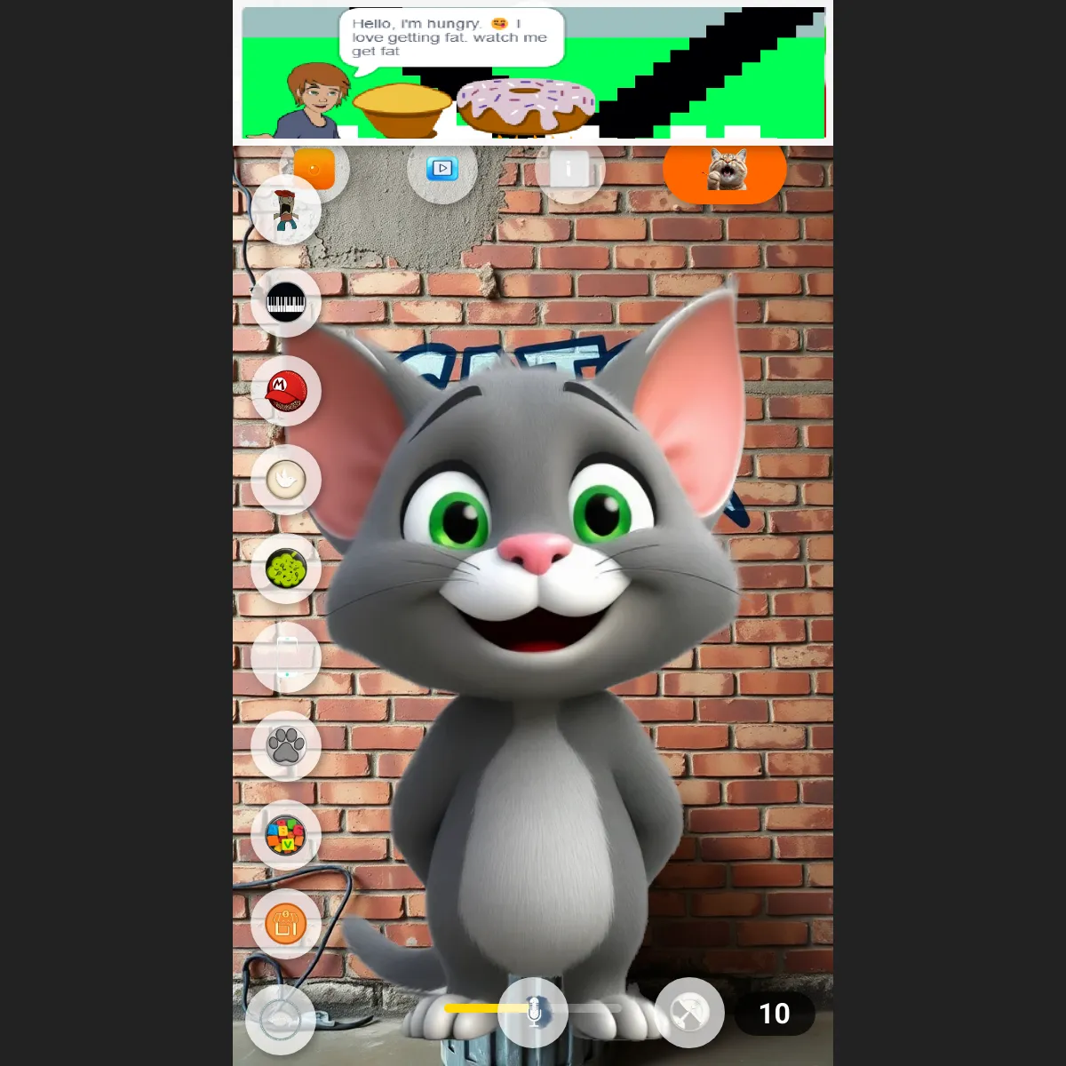 Talking Tom Recreation