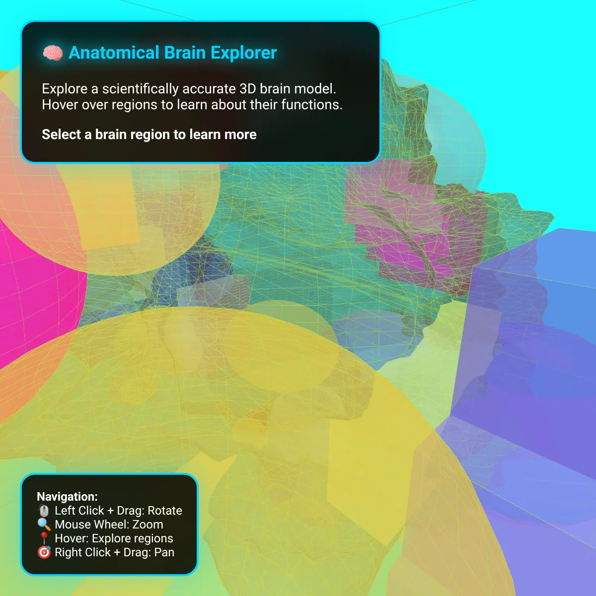 Interactive 3D Brain Explorer